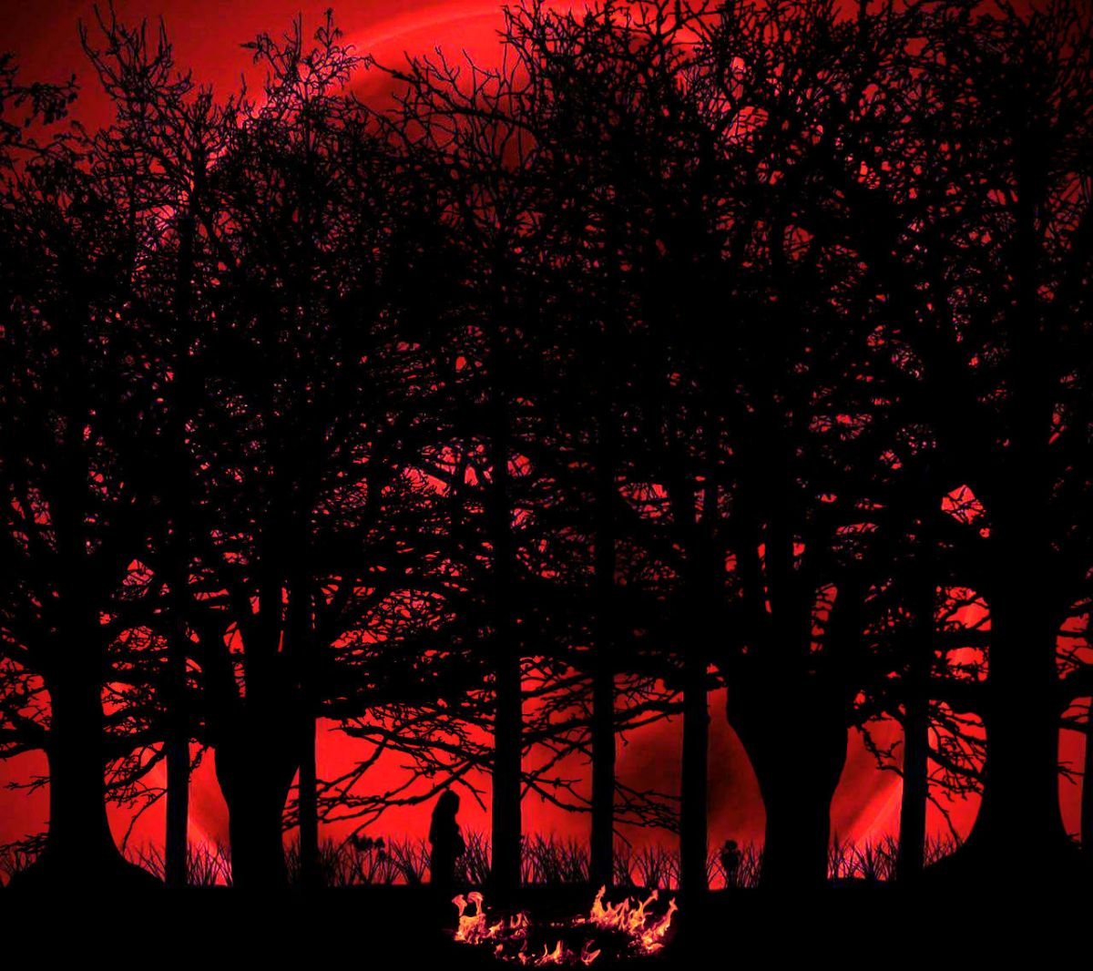 Sever the Circle, Indie Brawl Intentions | Amanda Leanne